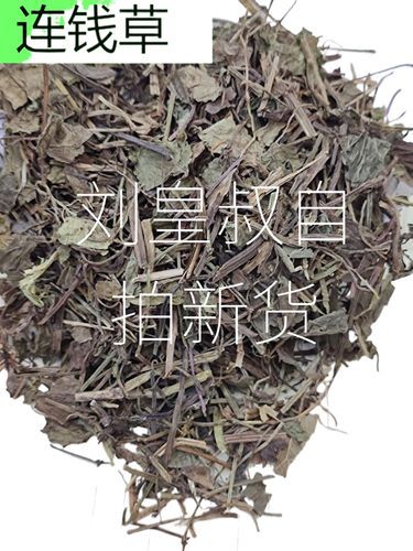 连钱草的功效与作用_连钱草怎么泡水喝-第2张图片-山城妙识 连钱草的功效与作用_连钱草怎么泡水喝-第2张图片-山城妙识