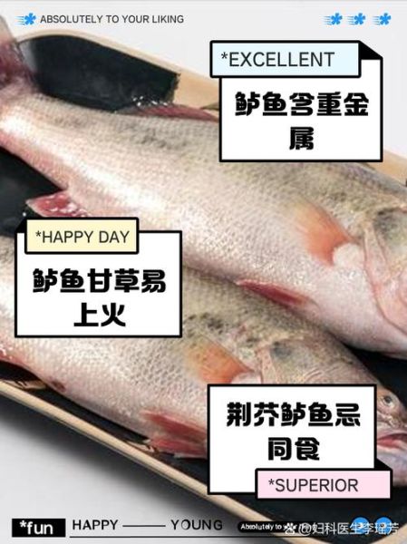 鲈鱼为什么不能多吃_鲈鱼吃多了有什么危害-第2张图片-山城妙识 鲈鱼为什么不能多吃_鲈鱼吃多了有什么危害-第2张图片-山城妙识