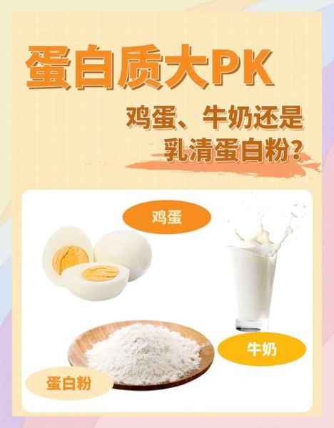 蛋清粉可以代替蛋清吗_蛋清粉与蛋清区别-第1张图片-山城妙识