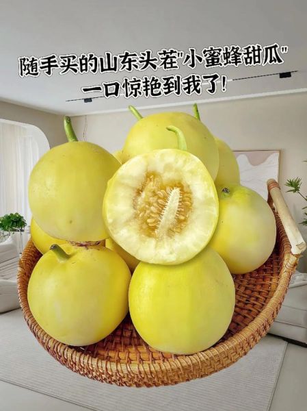 甜瓜品种有哪些_甜瓜图片大全怎么找-第3张图片-山城妙识