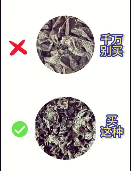 野生木耳有毒吗_怎么分辨-第1张图片-山城妙识 野生木耳有毒吗_怎么分辨-第1张图片-山城妙识
