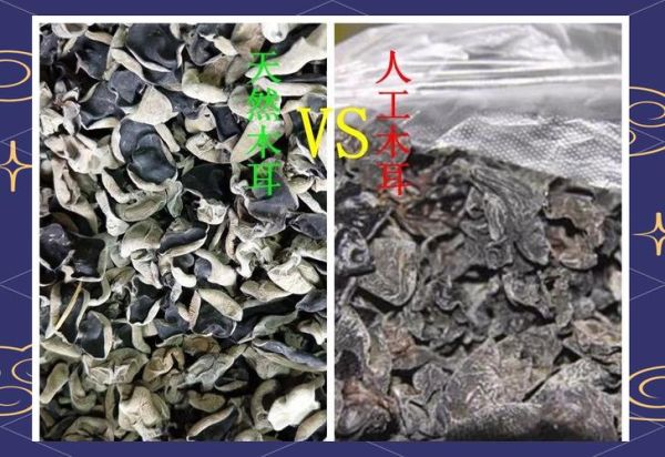 野生木耳有毒吗_怎么分辨-第2张图片-山城妙识 野生木耳有毒吗_怎么分辨-第2张图片-山城妙识