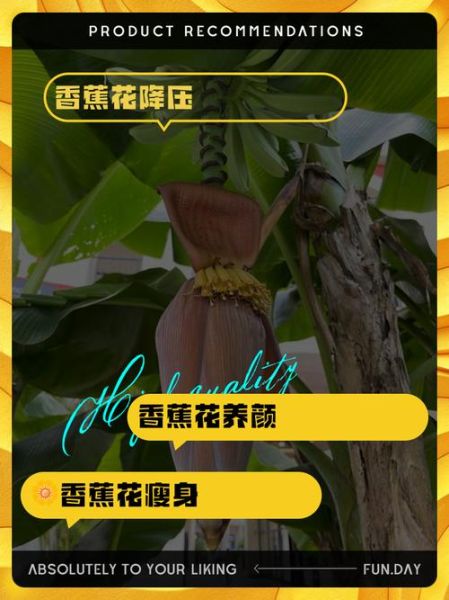 香蕉花怎么吃_香蕉花做法大全-第1张图片-山城妙识 香蕉花怎么吃_香蕉花做法大全-第1张图片-山城妙识