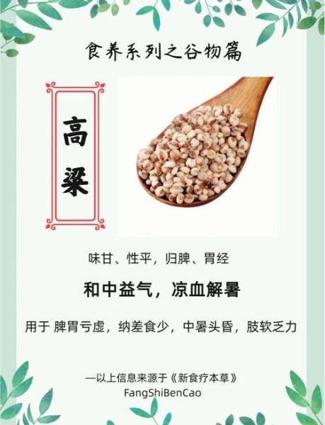 高粱的拼音怎么写_高粱拼音正确拼法-第1张图片-山城妙识
