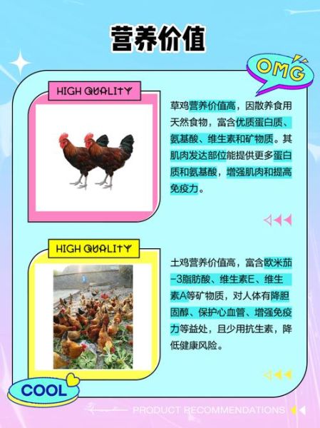 草鸡和土鸡的区别_哪个更好吃-第1张图片-山城妙识