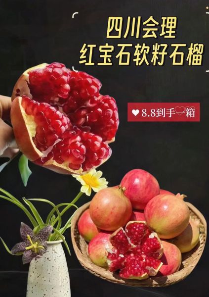 红石榴怎么吃_红石榴的正确吃法-第2张图片-山城妙识