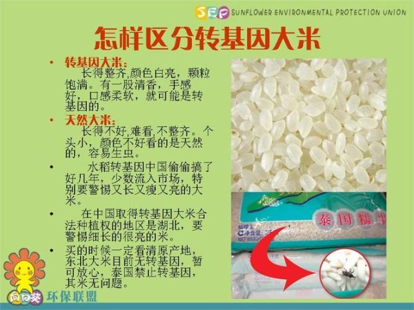 中国转基因食品名单有哪些_转基因食品怎么辨别-第1张图片-山城妙识