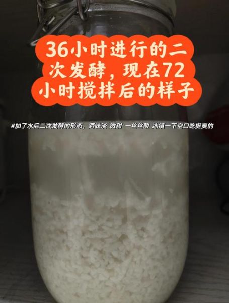 甜酒酿的做法_自制甜酒酿视频教程-第3张图片-山城妙识