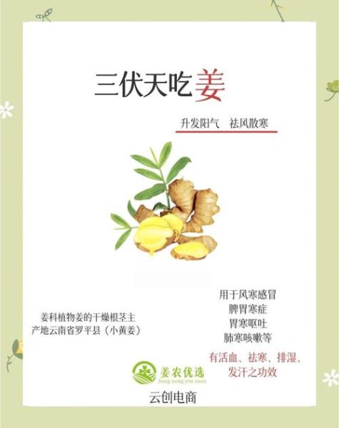 夏天吃姜去湿气怎么做_夏天吃姜去湿气正确方法-第2张图片-山城妙识