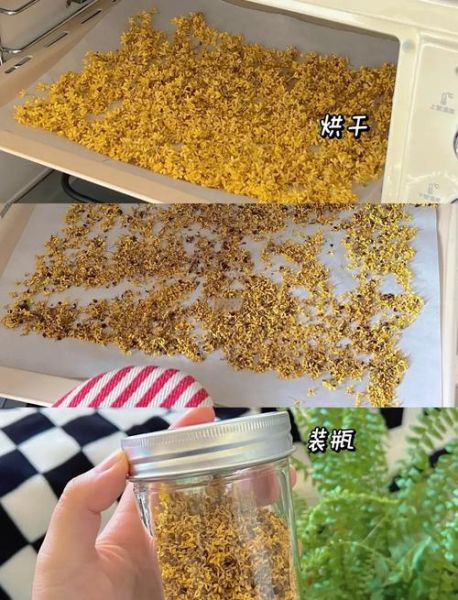 自制桂花干怎么做_桂花干保存多久-第2张图片-山城妙识