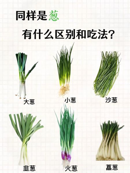 葱的种类有哪些_大葱小葱区别是什么-第1张图片-山城妙识