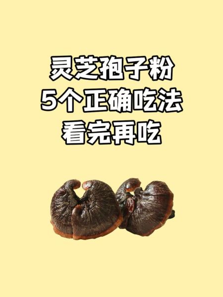 灵芝孢子粉的功效与副作用_适合哪些人吃-第2张图片-山城妙识