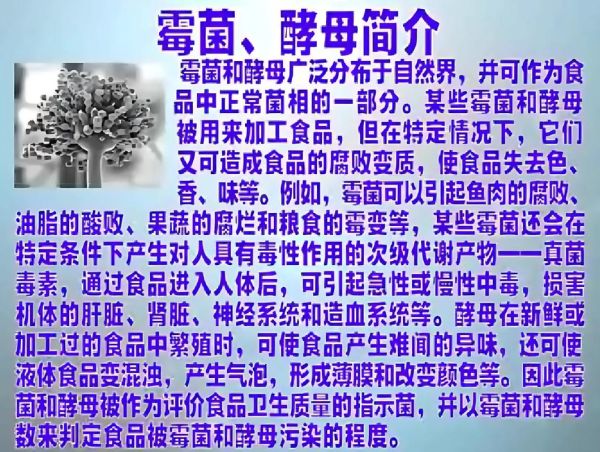 酵母菌的作用与功效_酵母菌对人体有什么好处-第3张图片-山城妙识