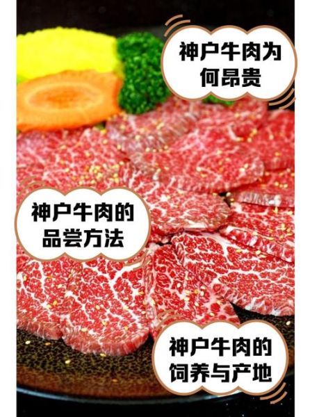 神户牛肉多少钱一斤_日本神户牛肉价格-第1张图片-山城妙识