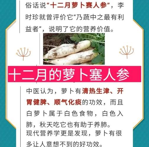 萝卜开会下一句是什么_萝卜开会歇后语大全-第1张图片-山城妙识