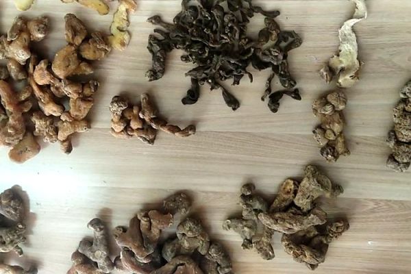 九蒸九晒吃死人_九蒸九晒黄精中毒真相-第3张图片-山城妙识