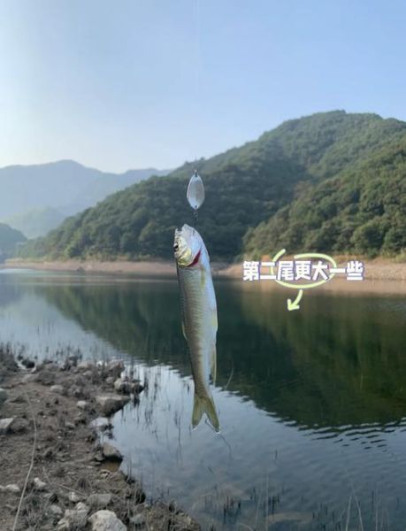 马口鱼用什么路亚饵好_马口鱼路亚饵推荐-第1张图片-山城妙识