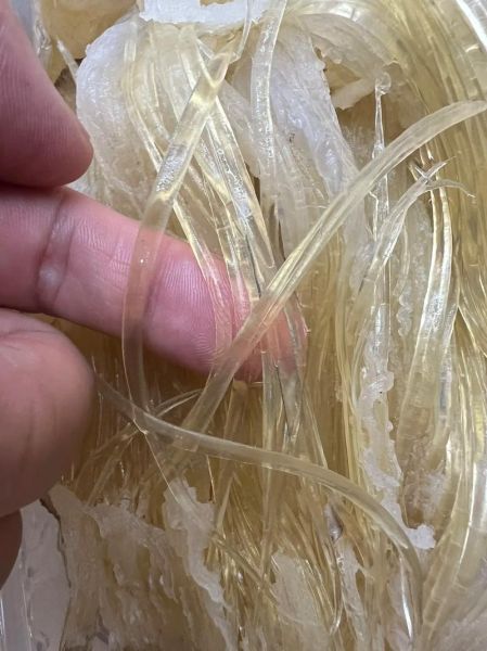 鱼翅是什么鱼做的_鱼翅是鲨鱼的哪个部位-第1张图片-山城妙识