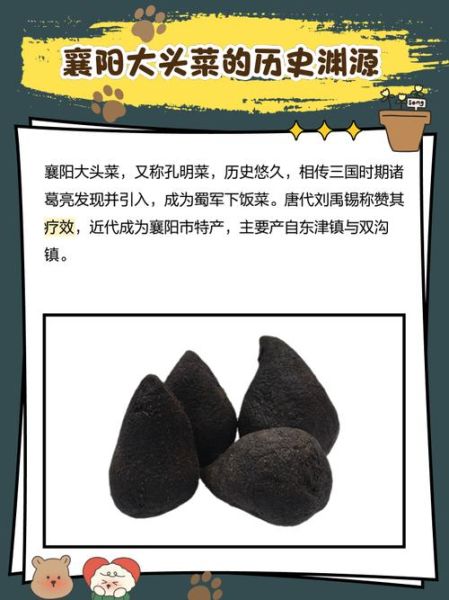 襄阳大头菜多少钱一斤_襄阳大头菜价格行情-第1张图片-山城妙识