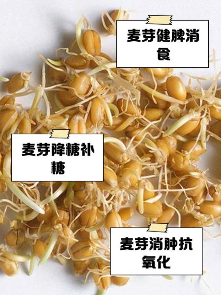 麦芽的副作用有哪些_麦芽有毒吗-第3张图片-山城妙识
