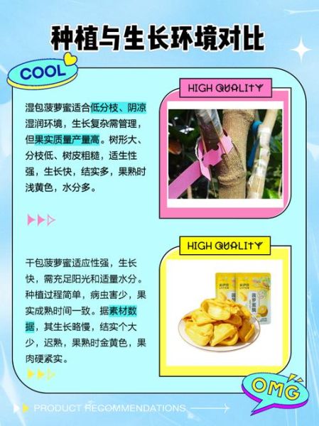 菠萝蜜干包和湿包的区别_哪个更好吃-第1张图片-山城妙识