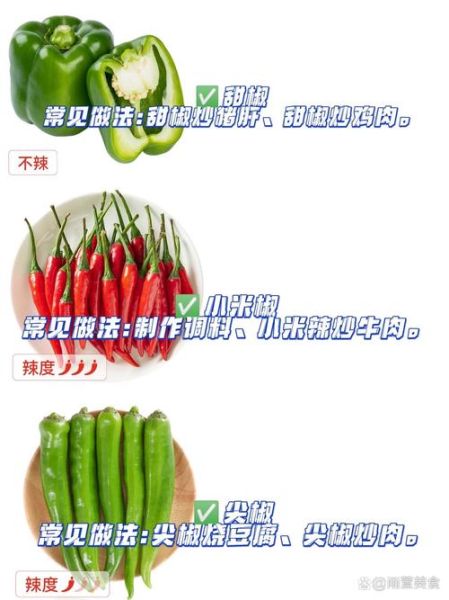 菜椒属于辛辣食物吗_菜椒辣不辣-第1张图片-山城妙识