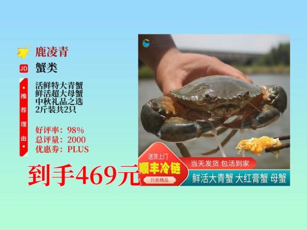 青蟹市场价多少钱一斤_2024最新行情-第3张图片-山城妙识 青蟹市场价多少钱一斤_2024最新行情-第3张图片-山城妙识