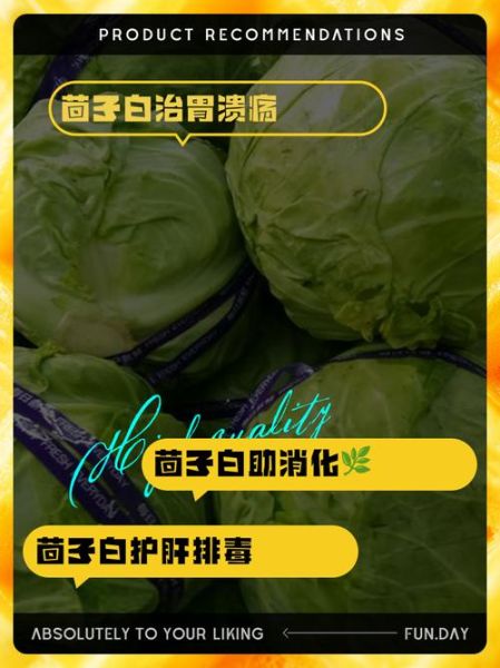 茴子白营养价值_茴子白功效与作用-第1张图片-山城妙识