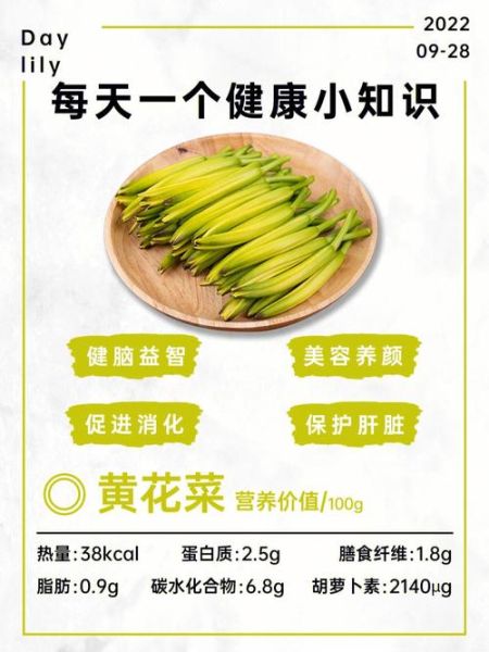 黄花菜的功效与作用_怎么做菜比较好吃-第2张图片-山城妙识