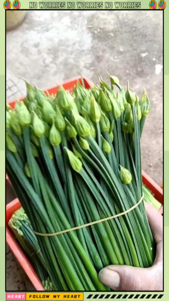 韭苔和韭菜的区别_哪个营养价值更高-第2张图片-山城妙识