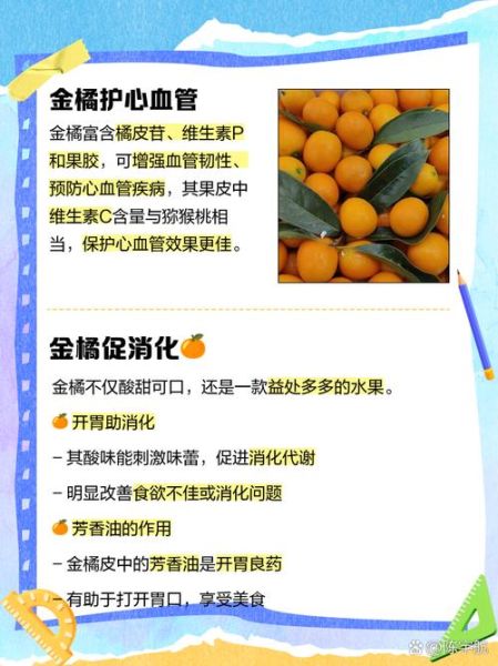 金橘叶的功效与作用_金橘叶可以长期泡水喝吗-第3张图片-山城妙识