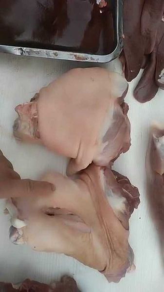 蹄髈是哪个部位_猪前蹄还是后蹄-第2张图片-山城妙识