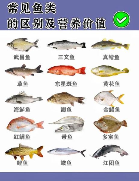 鱼的营养价值排名_哪种鱼最健康-第1张图片-山城妙识 鱼的营养价值排名_哪种鱼最健康-第1张图片-山城妙识