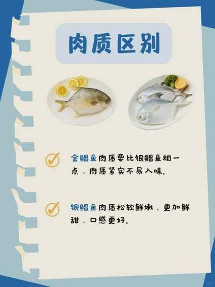 银鲳鱼和白鲳鱼有什么区别_哪个更好吃-第3张图片-山城妙识