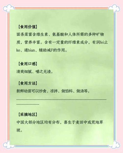 面条菜怎么做好吃_面条菜的营养价值-第2张图片-山城妙识 面条菜怎么做好吃_面条菜的营养价值-第2张图片-山城妙识