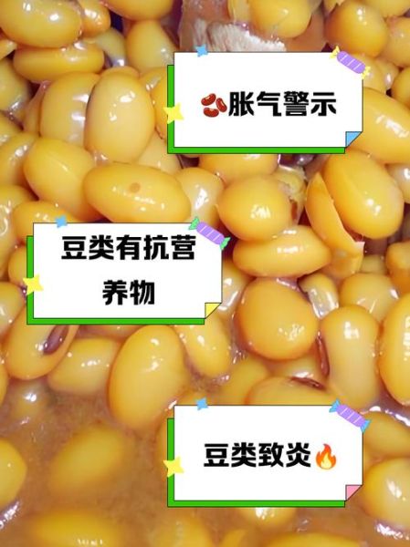 豆类吃多了的副作用_如何避免胀气-第2张图片-山城妙识 豆类吃多了的副作用_如何避免胀气-第2张图片-山城妙识