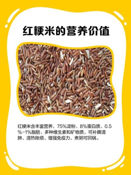 红粳米有什么功效_红粳米怎么吃最养生-第2张图片-山城妙识