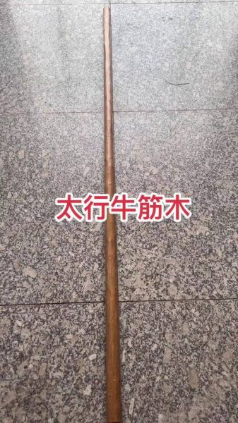 牛筋木鞭杆怎么选_牛筋木鞭杆多少钱一根-第3张图片-山城妙识