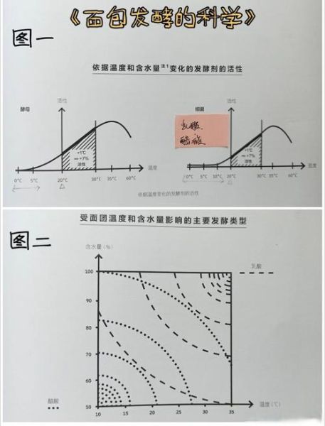 酵母发酵温度是多少_酵母发酵温度怎么控制-第2张图片-山城妙识