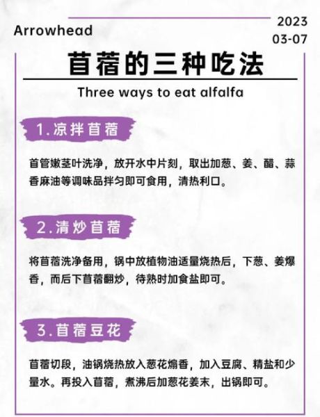 苜蓿菜的营养价值_苜蓿菜怎么吃最健康-第1张图片-山城妙识
