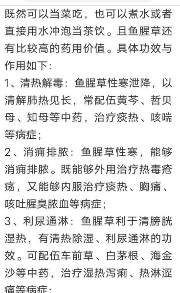 鱼腥草对妇科炎症有用吗_鱼腥草治疗妇科炎症效果好吗-第1张图片-山城妙识