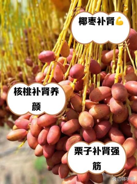 吃什么壮阳最快_男人壮阳食物有哪些-第3张图片-山城妙识