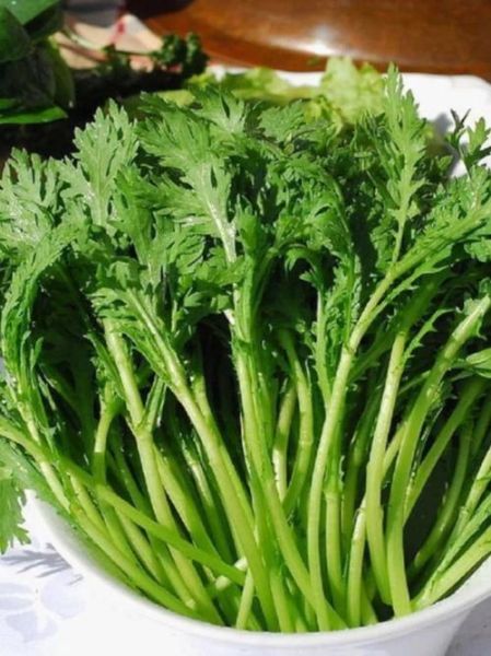 蓬蒿和茼蒿的区别_蓬蒿图片怎么识别-第2张图片-山城妙识