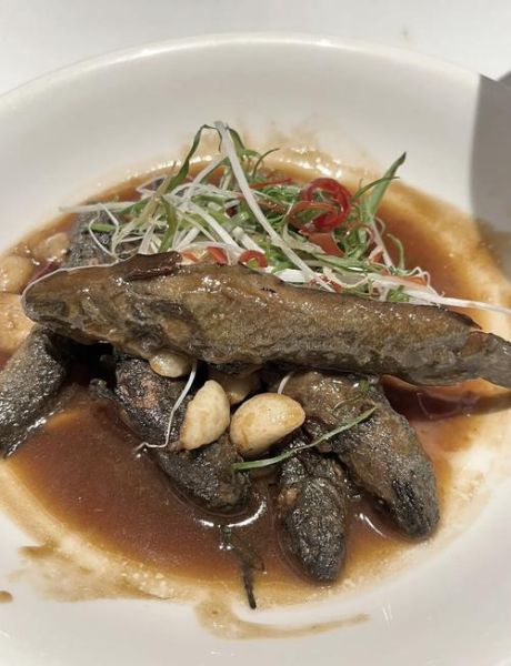 跳跳鱼吃什么食物_跳跳鱼能喂蔬菜吗-第2张图片-山城妙识