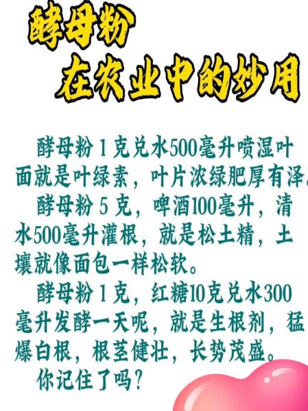 酵母粉是什么东西_酵母粉的作用与用法-第2张图片-山城妙识