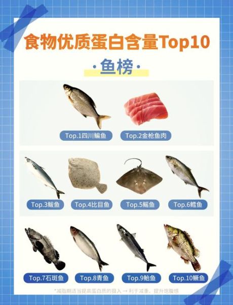 鱼的热量是多少_减肥可以吃哪些鱼-第1张图片-山城妙识
