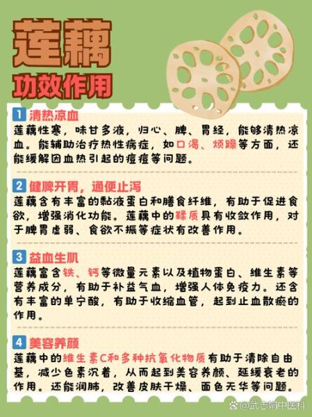 藕的作用与功效_藕怎么吃最养生-第1张图片-山城妙识 藕的作用与功效_藕怎么吃最养生-第1张图片-山城妙识