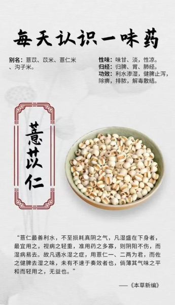 薏苡仁的功效与作用及吃法_薏苡仁怎么吃最祛湿-第1张图片-山城妙识
