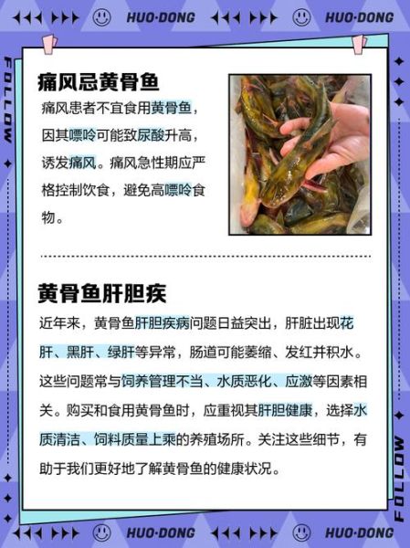 黄骨鱼怎么杀_黄骨鱼去腥技巧-第1张图片-山城妙识 黄骨鱼怎么杀_黄骨鱼去腥技巧-第1张图片-山城妙识
