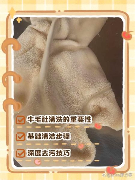 牛肚怎么洗才干净_牛肚清洗步骤图-第1张图片-山城妙识